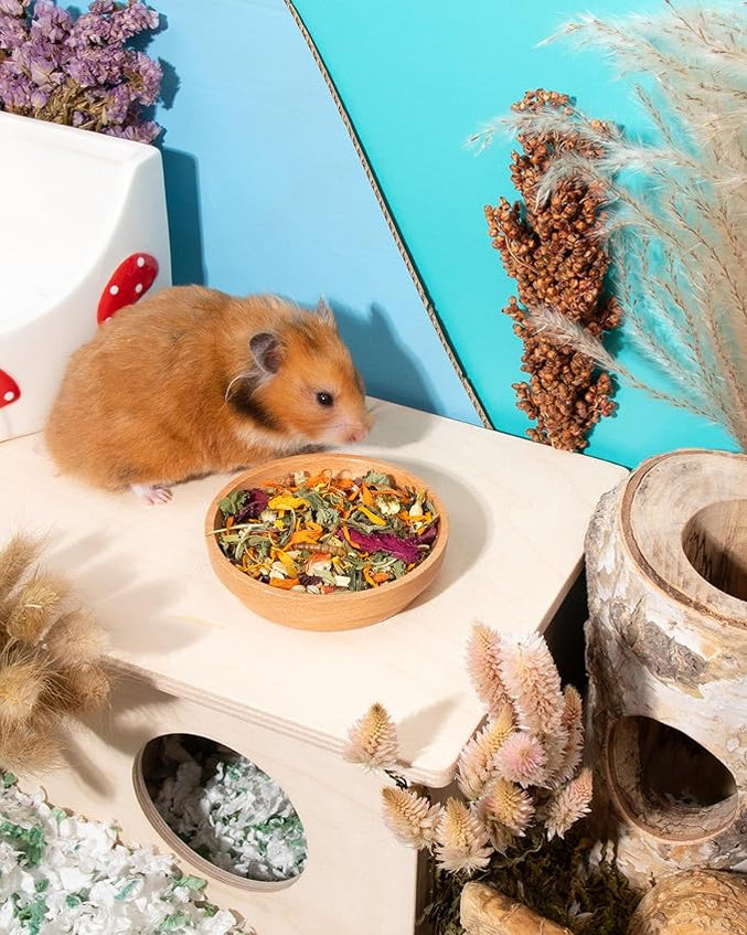 Niteangel Hamster Food & Treats Toy - Small Animal Natural Food for Sy ...