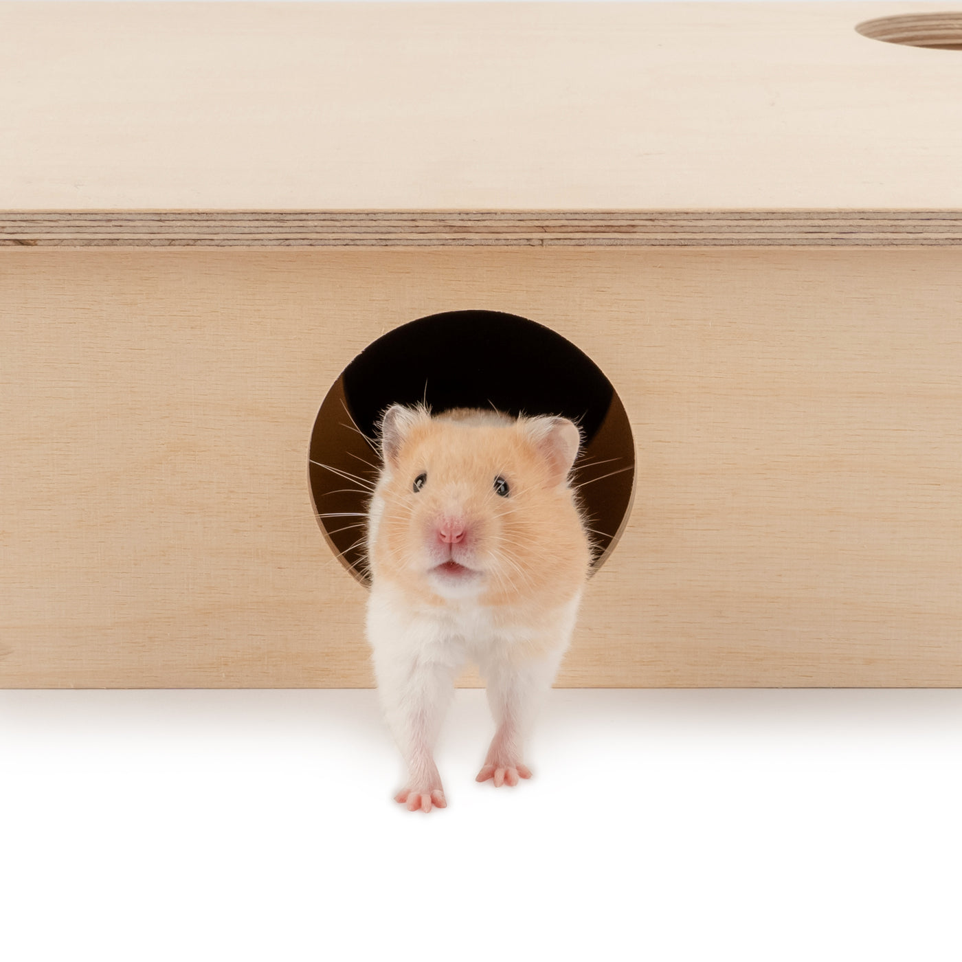 Niteangel Large Wooden Multi-Chamber Hideout for Dwarf and Syrian Hams ...