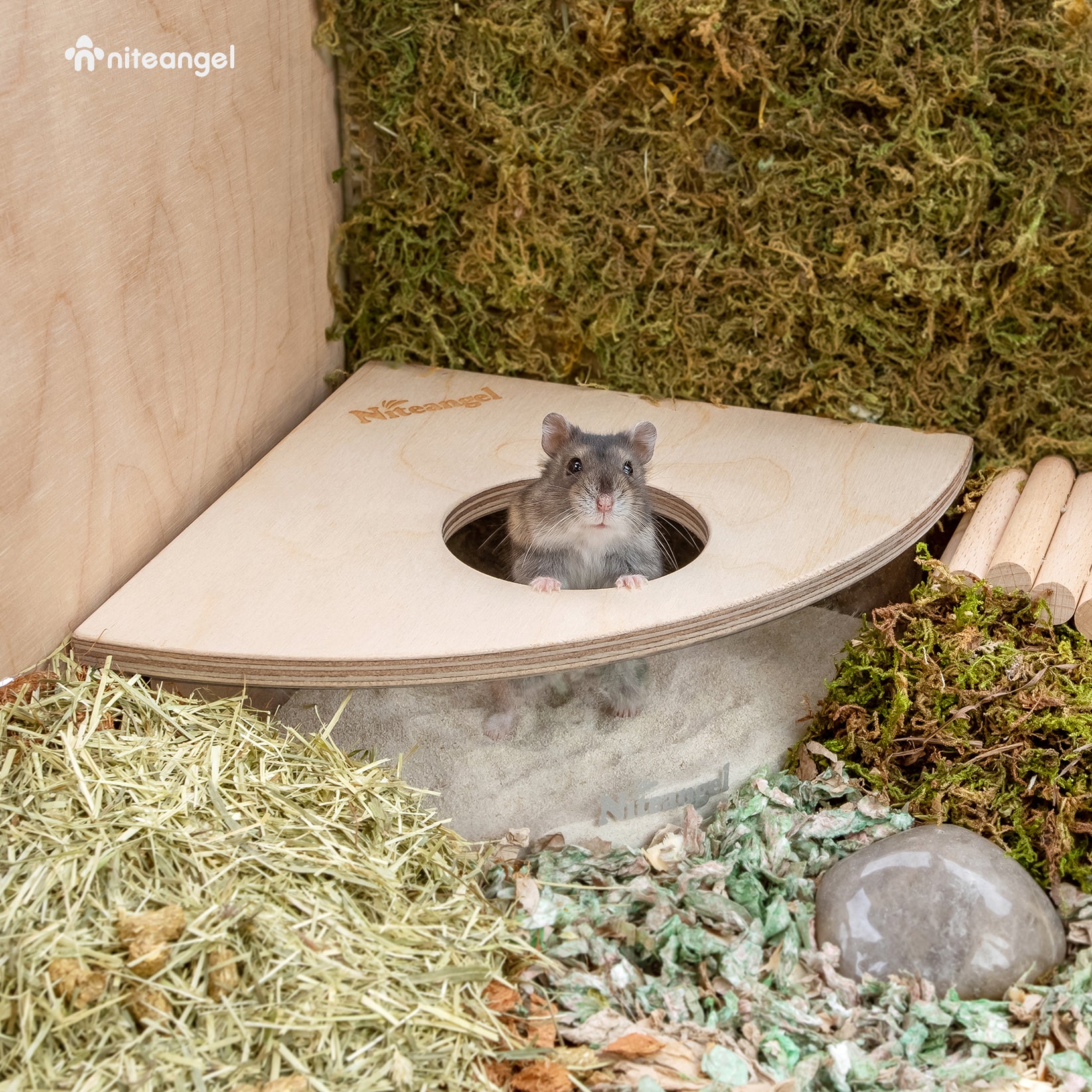 Niteangel Small Animal Sand-Bath Box - Acrylic Critter's Sand Bath Sho ...