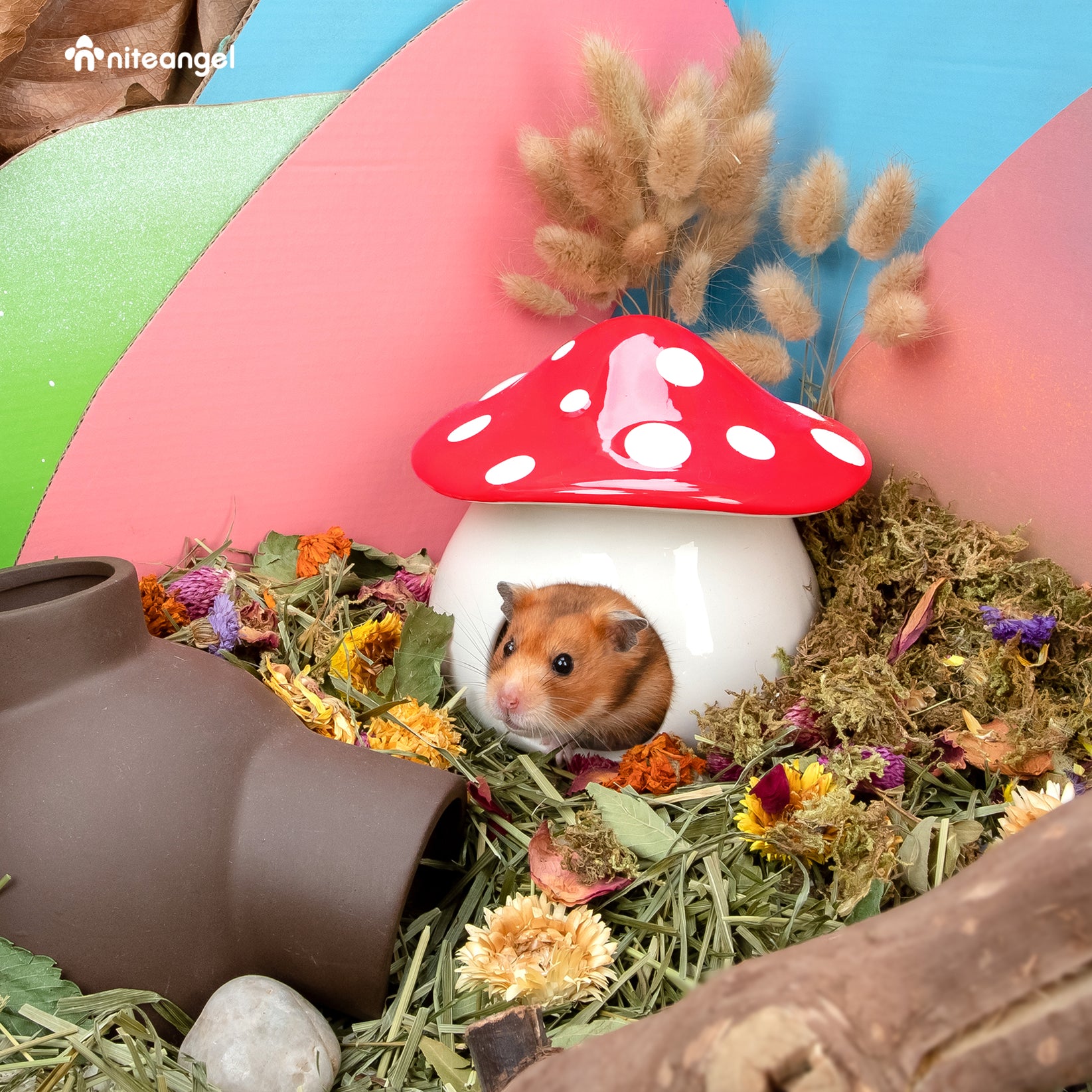 Niteangel Ceramic Hamster Habitat Hideout (Mushroom-Shaped Feeding & W ...