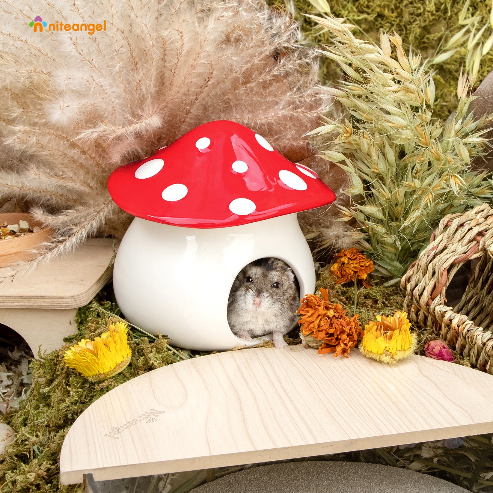 Niteangel Ceramic Hamster Habitat Hideout (Mushroom-Shaped Feeding & W ...