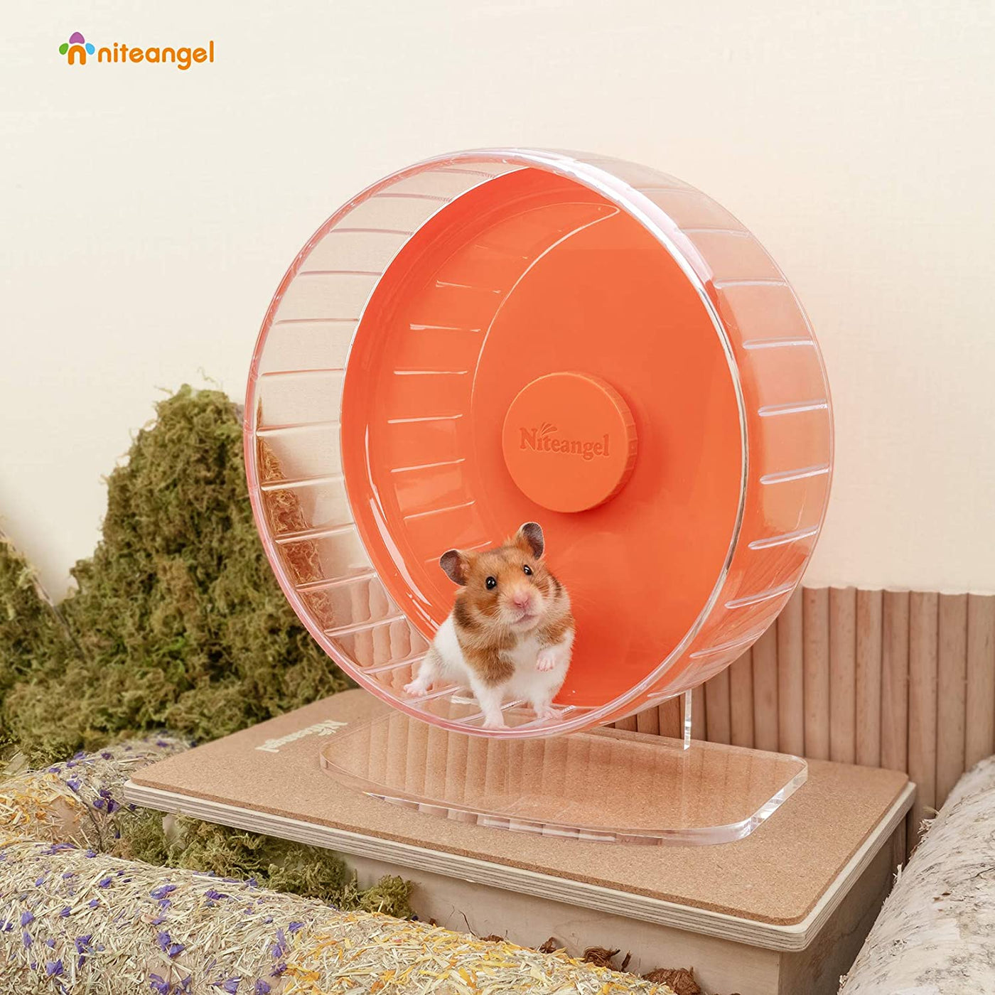 Niteangel Super-Silent Hamster Exercise Wheels — Niteangel Pet