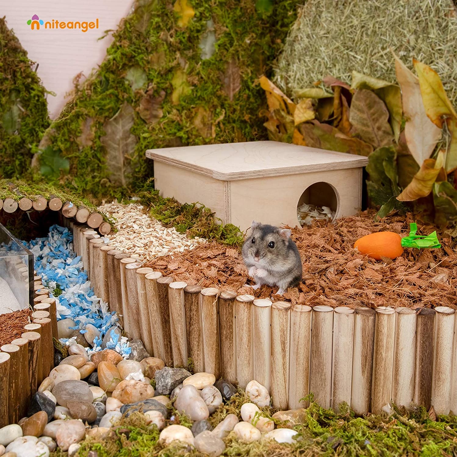 Natural Wood Bridge for Syrian and Dwarf Hamsters Flexible Fencing ...