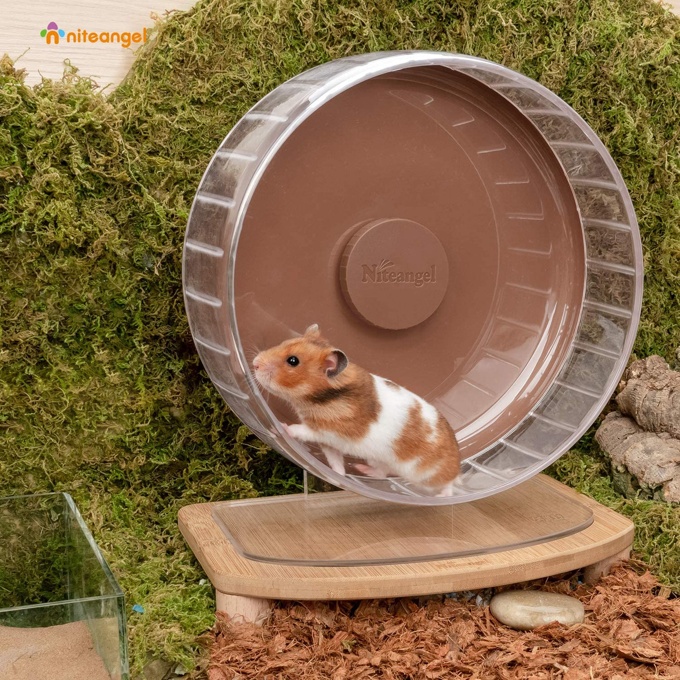 Niteangel Super-Silent Hamster Exercise Wheels — Niteangel Pet