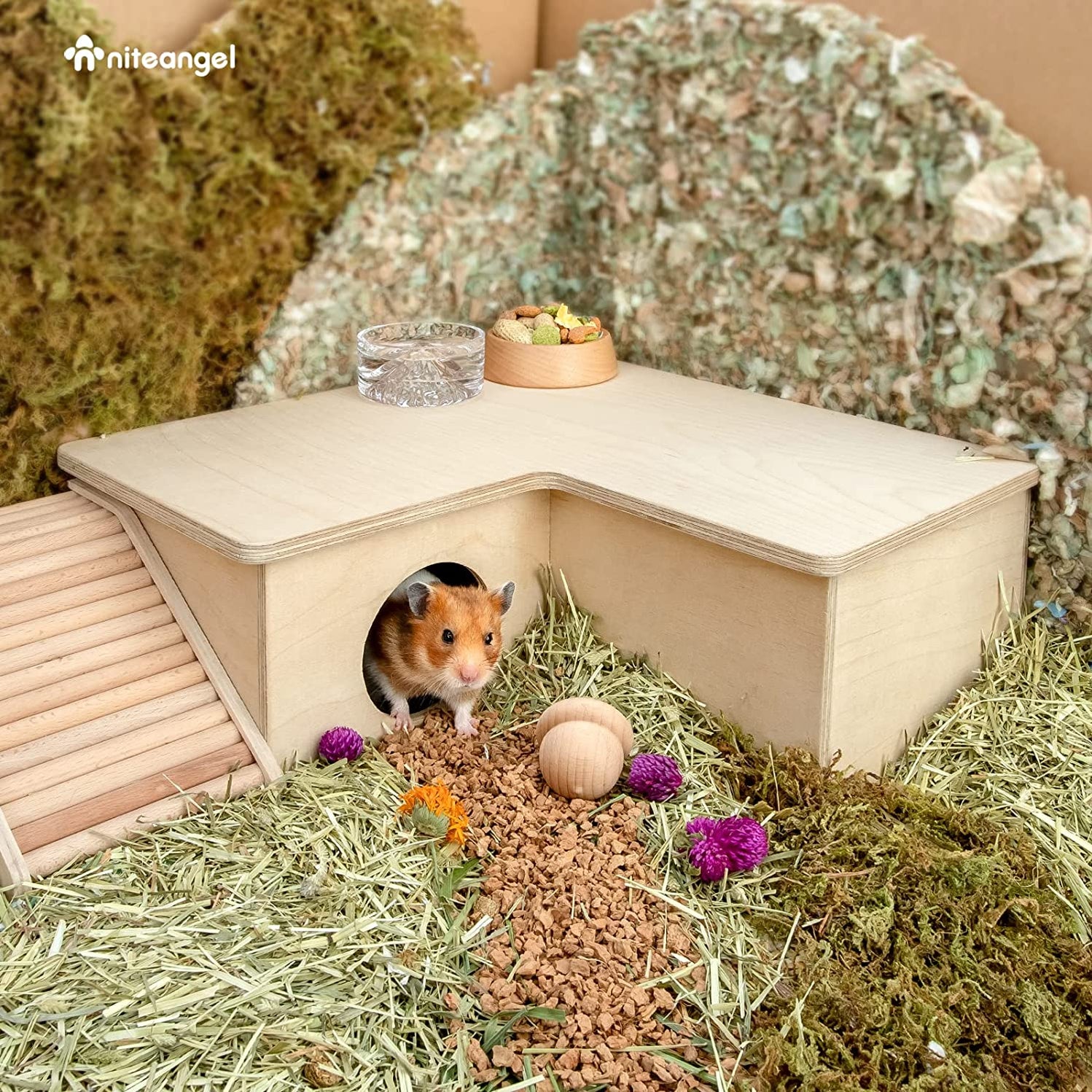 Niteangel Wooden 3-Chamber 2-Chamber Hideout for Dwarf and Syrian Hams ...