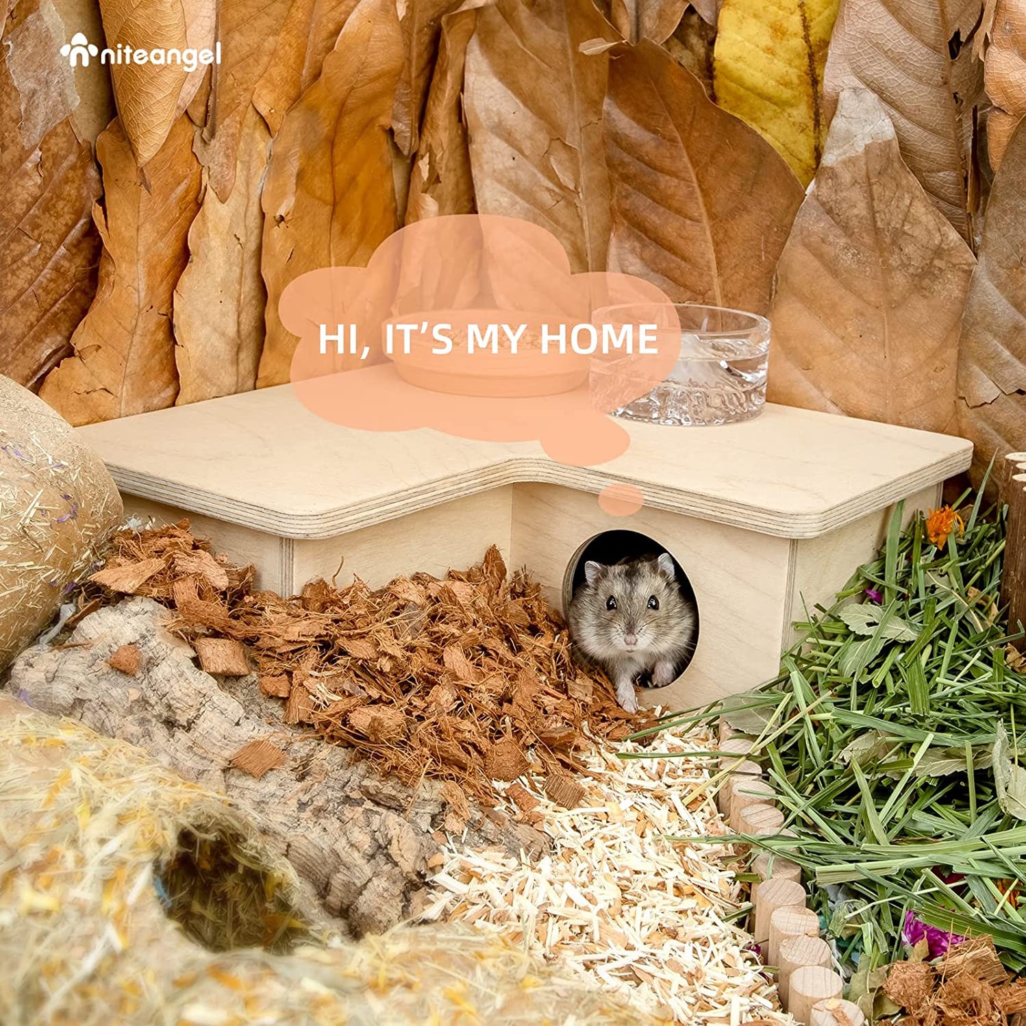 Niteangel Wooden 3-Chamber 2-Chamber Hideout for Dwarf and Syrian Hams ...