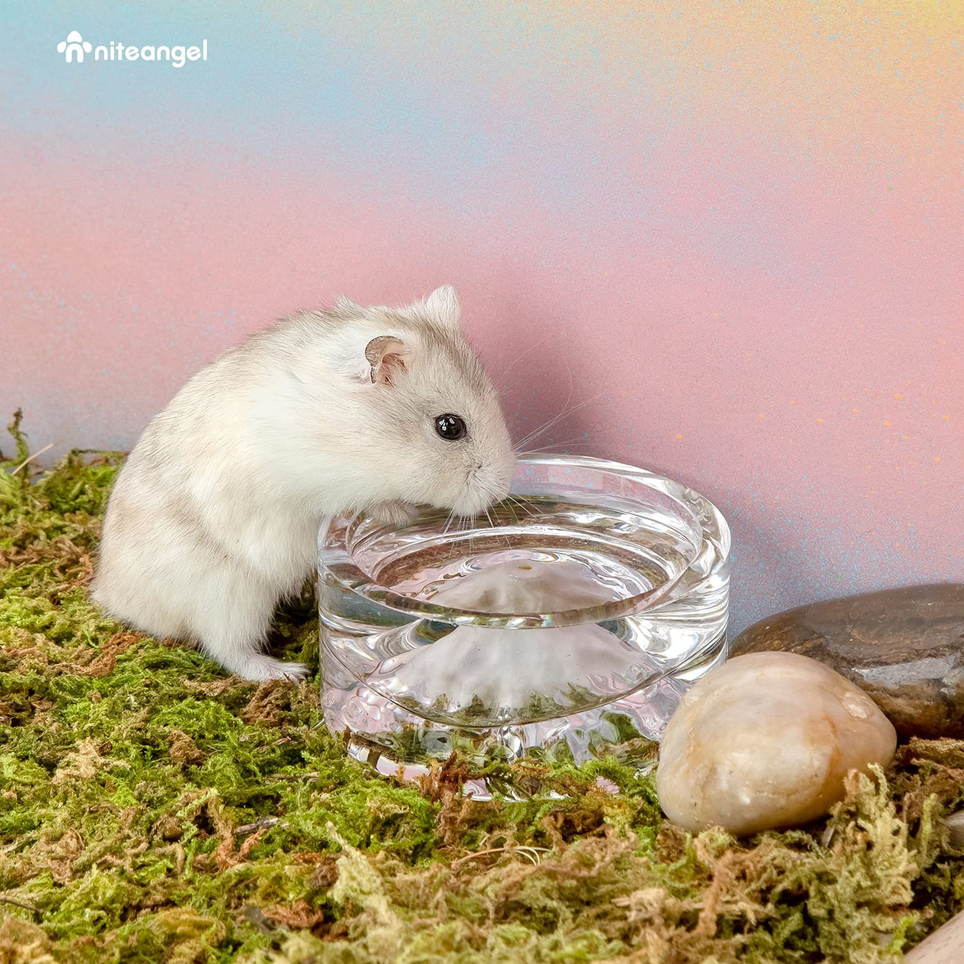 Niteangel Hamster Feeding & Water Bowls - Small Animal Glass Drinking ...