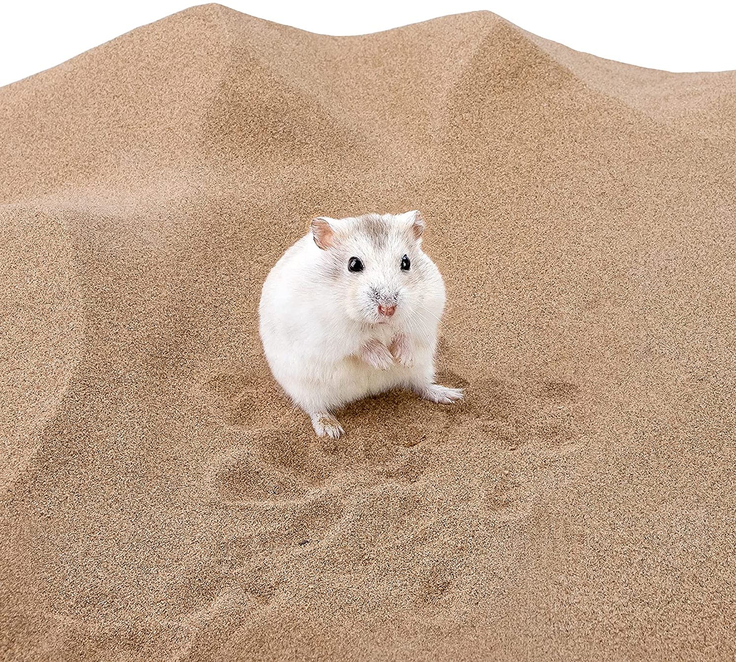 Niteangel Desert Bathing Desert Sand for Hamster Gerbil Mice Degu or O ...