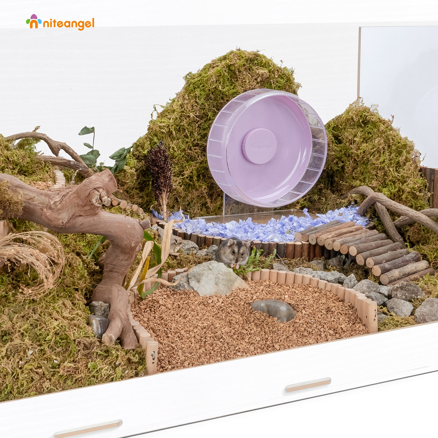 Niteangel Bigger World MDF Terrarium Aspen Poplar Wooden Enclosure for ...