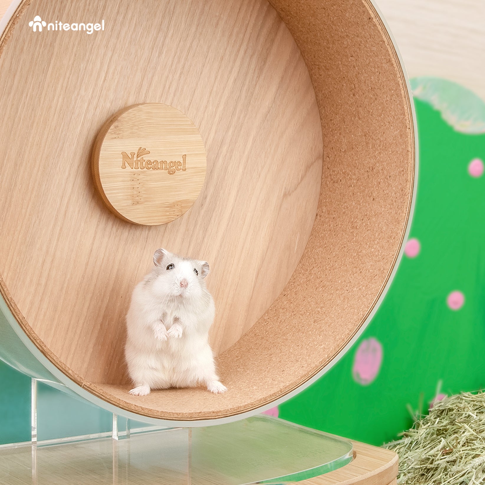 Niteangel Replacement Cork Running Track - Fits for Wooden Hamster Whe ...