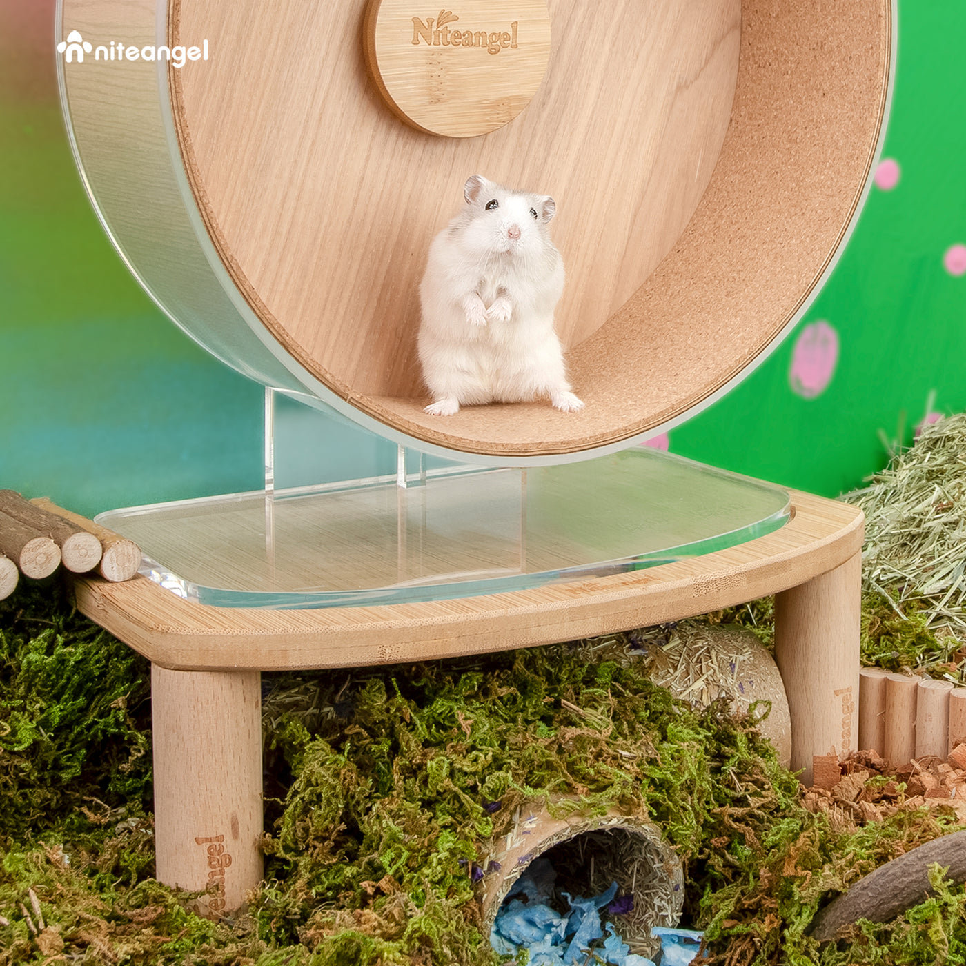 Niteangel Anti-Slide Hamster Wheel Platform - Fits Super-Silent Hamste ...