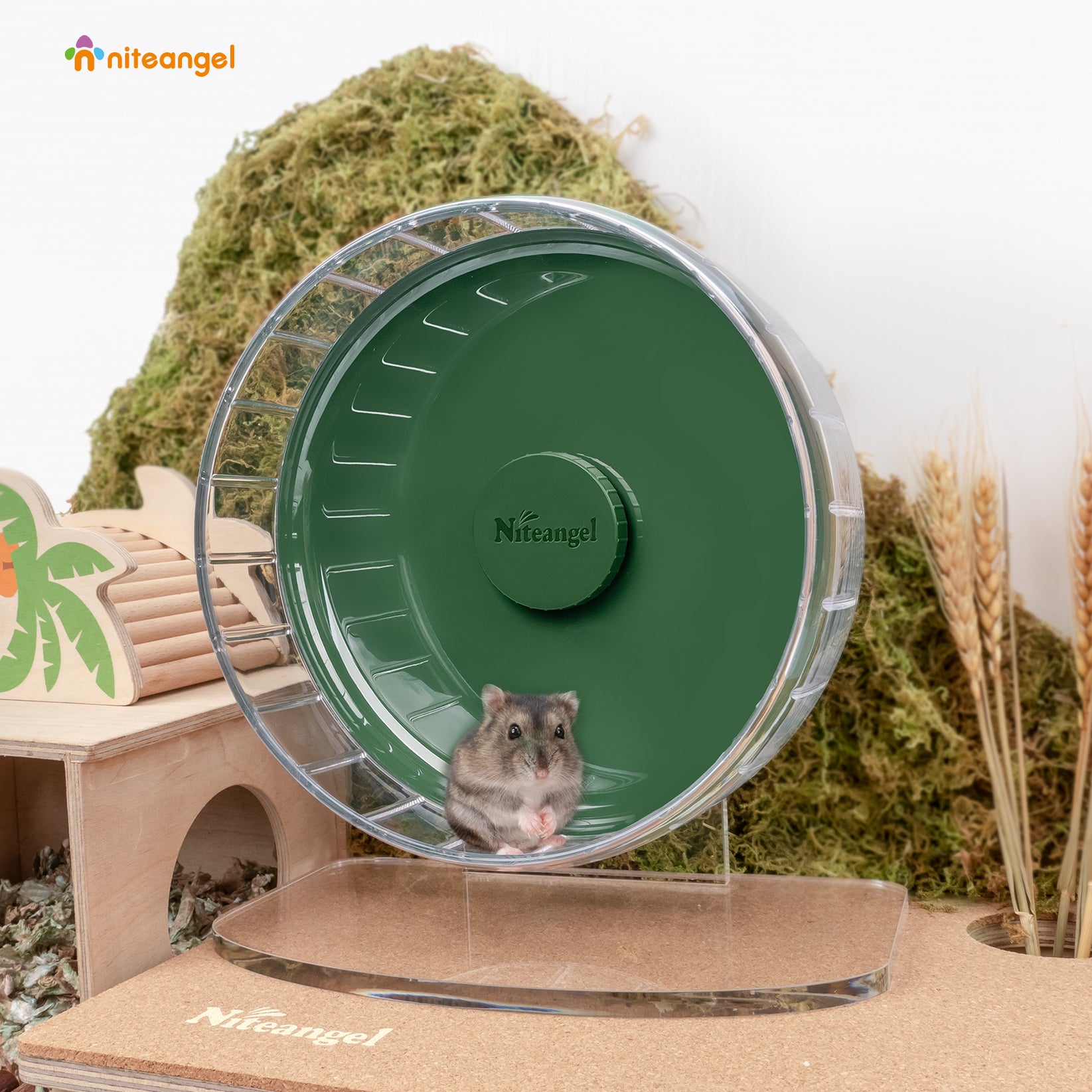 Niteangel Super-Silent Hamster Exercise Wheels — Niteangel Pet