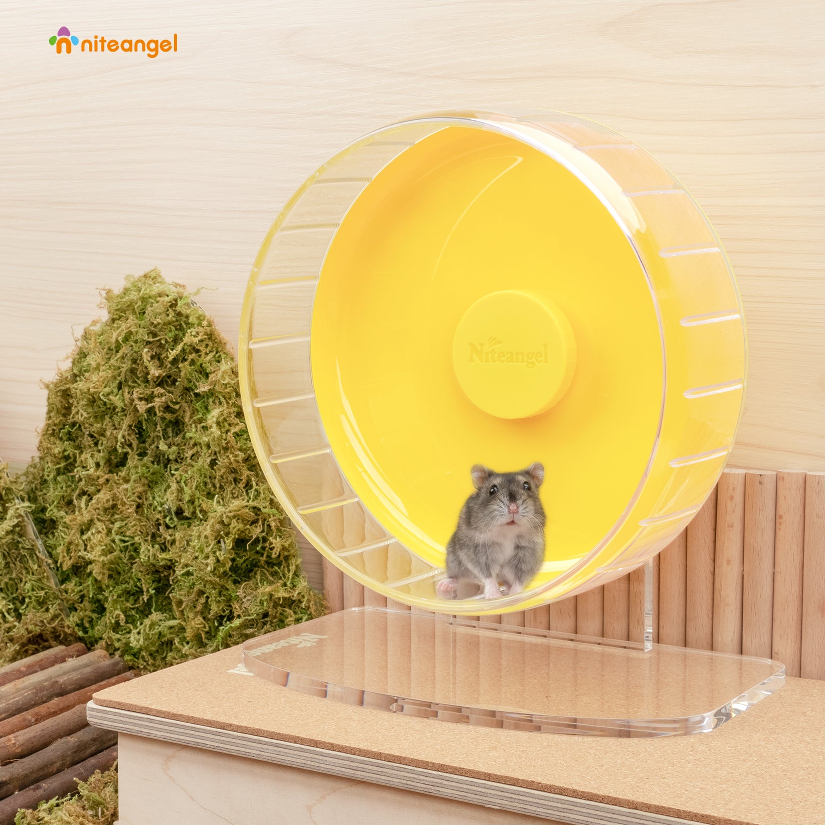 Niteangel Super-Silent Hamster Exercise Wheels — Niteangel Pet