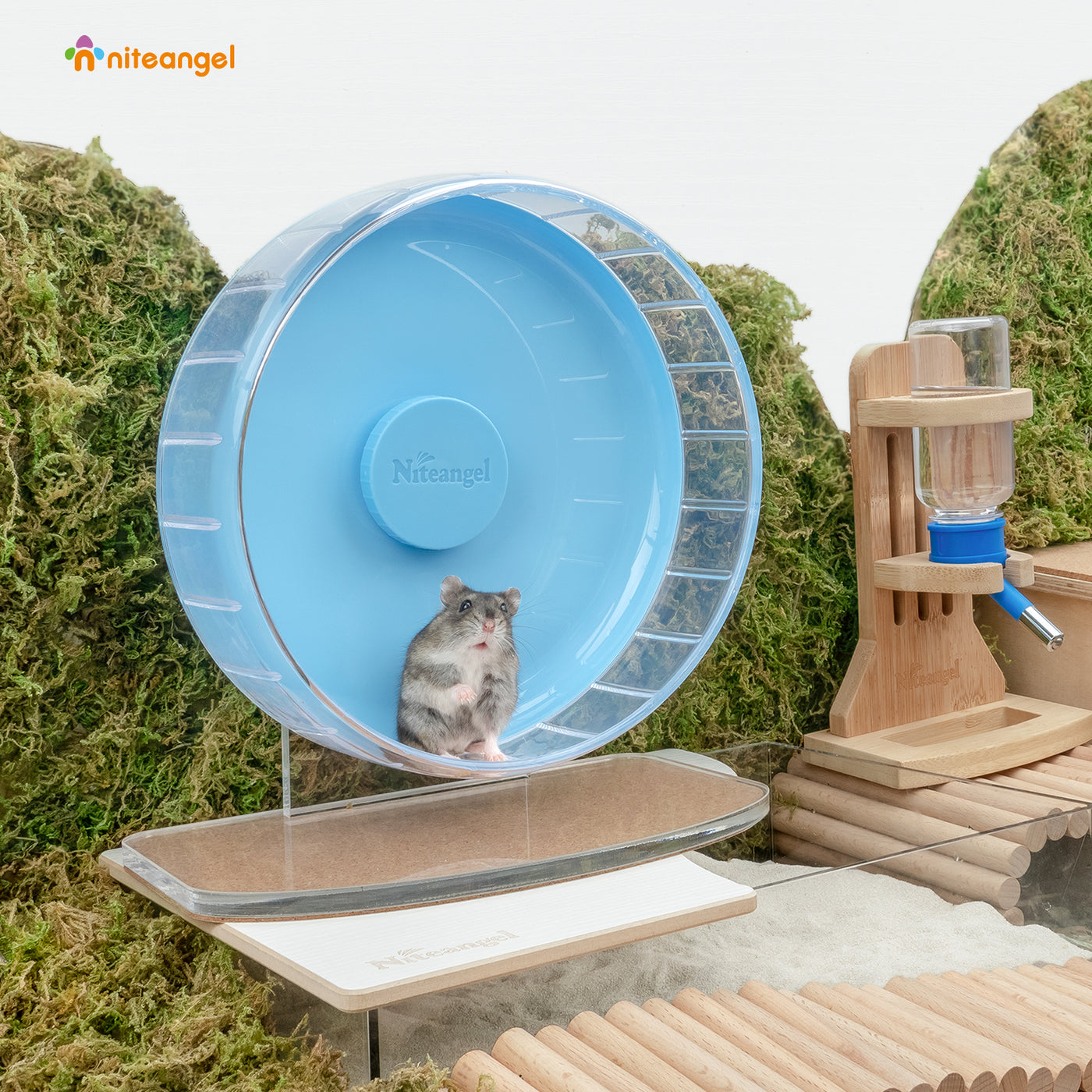 Niteangel Super-Silent Hamster Exercise Wheels — Niteangel Pet