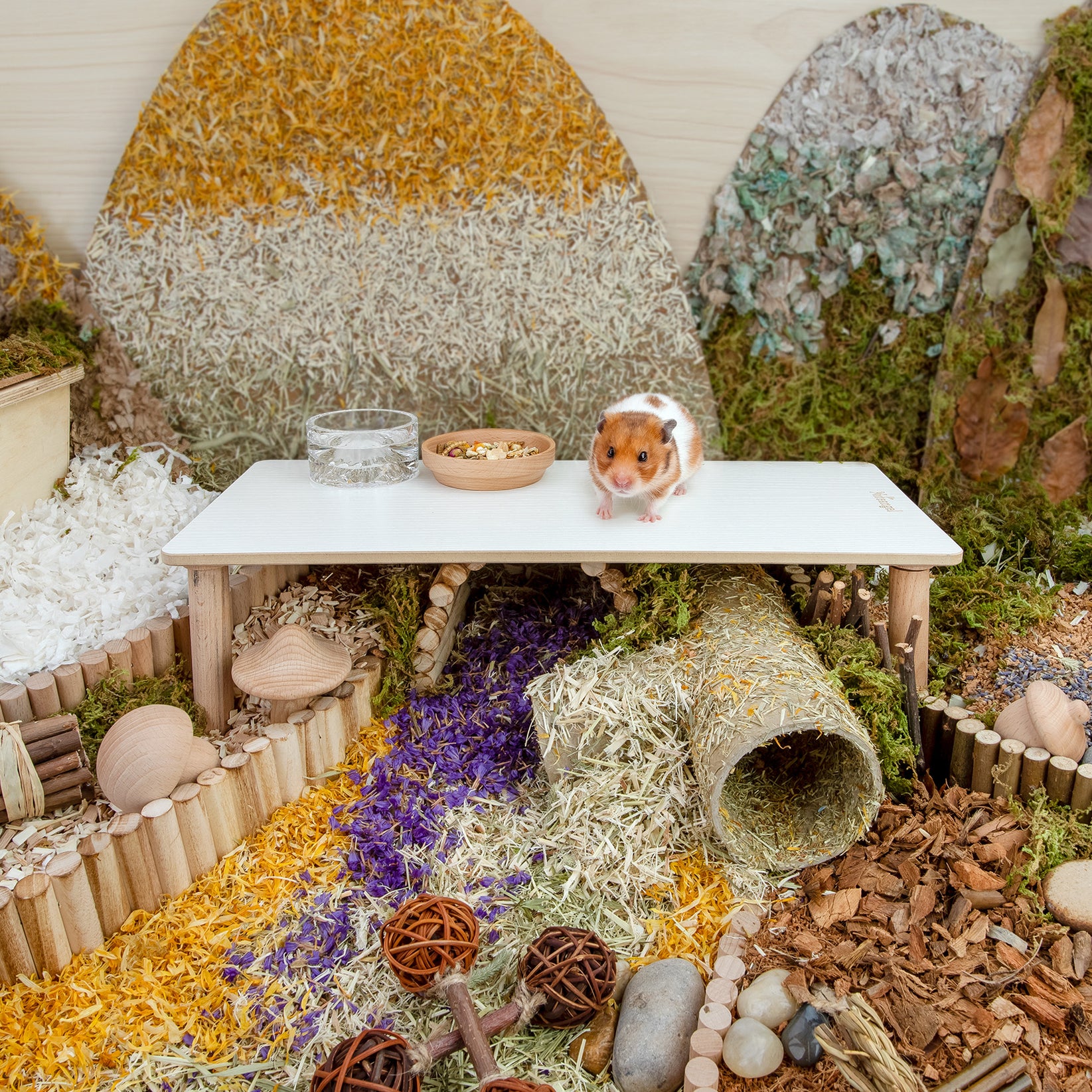 Niteangel Hamster Play Wooden Platform for Dwarf Syrian Hamsters Gerbi ...